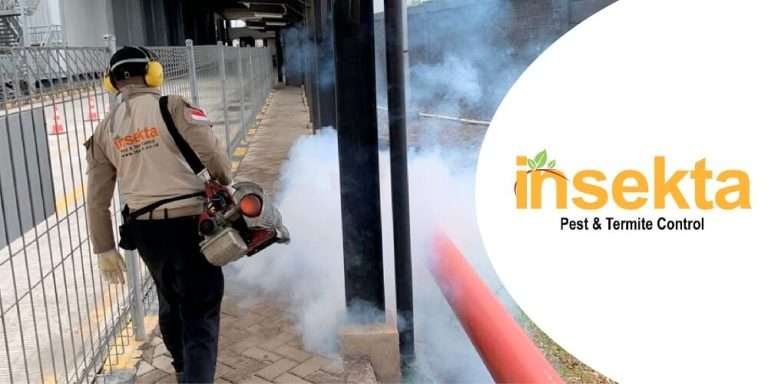 Pengertian Pest Control, Tugas Dan Manfaatnya | Insekta