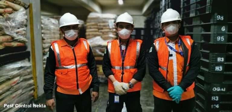 Pengertian Pest Control, Tugas Dan Manfaatnya | Insekta