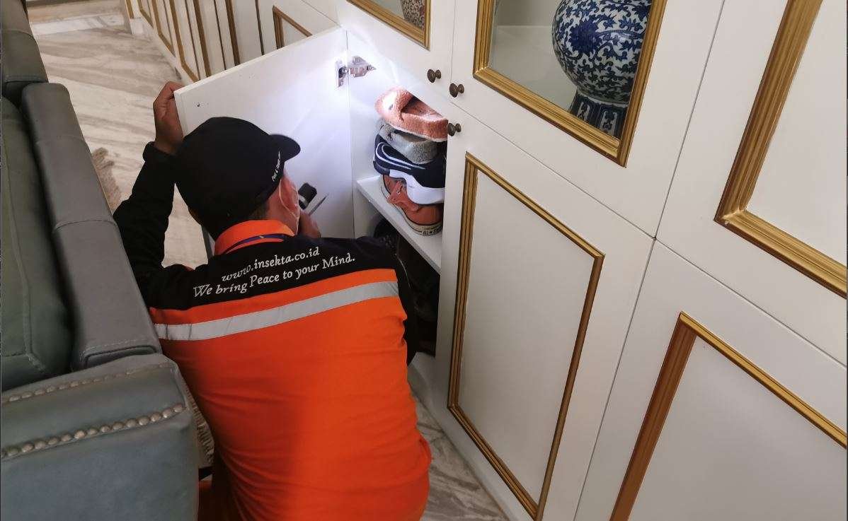 Jasa Pest Control Di Bekasi | Bersertifikat & Terpercaya