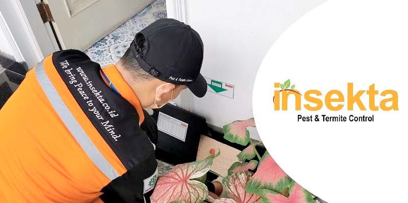 Pest Control Bali Besertifikat | PT Insekta Fokustama