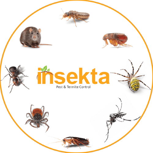 PT Insekta Fokustama - Perusahaan Pest Control Profesional